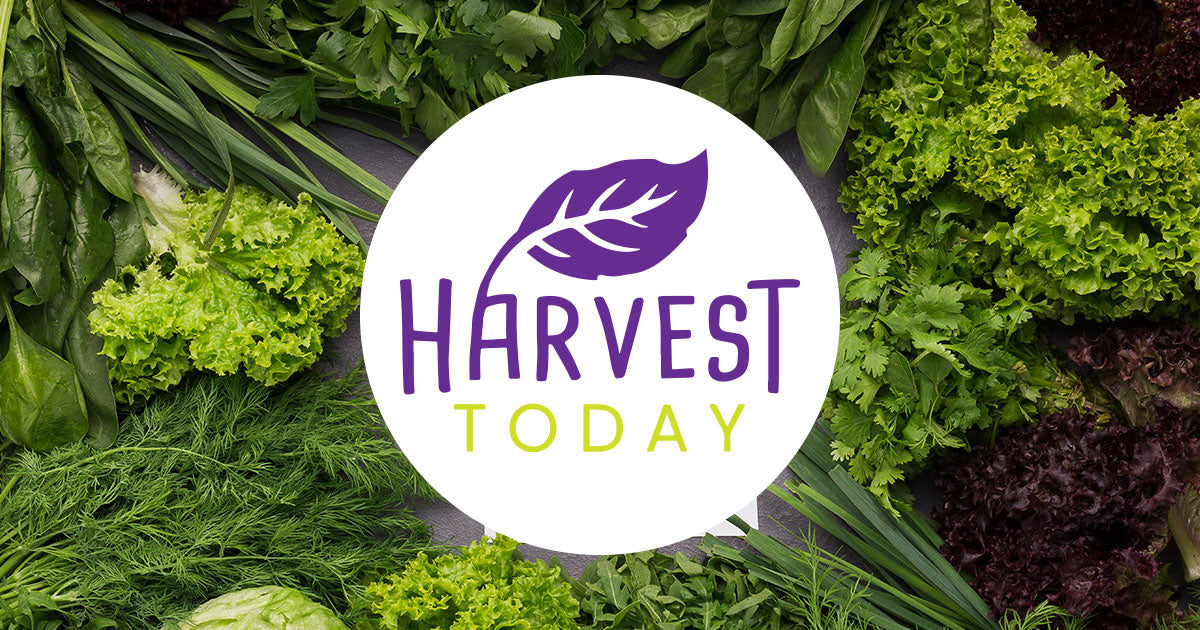 Harvest Today - Indoor Growing Made Simple