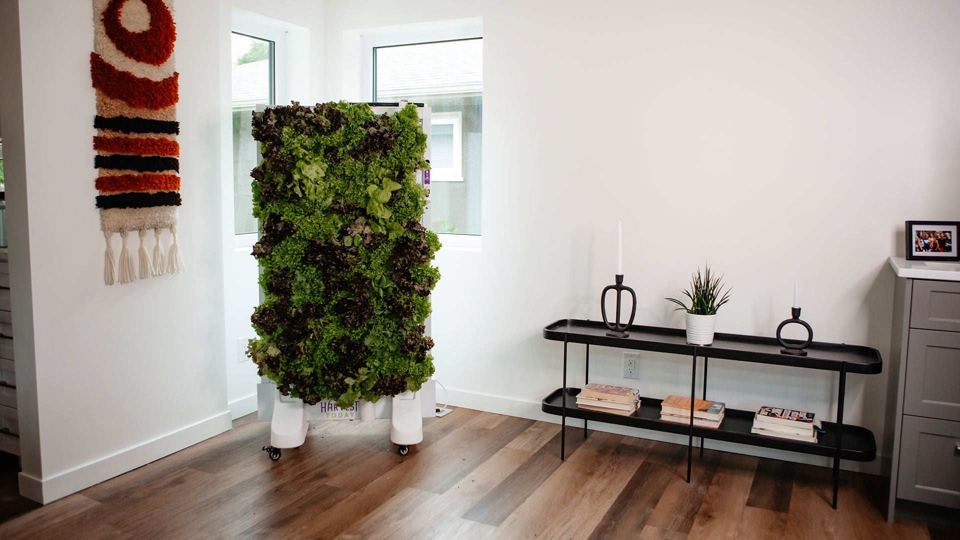 Harvest Today - Indoor Growing Made Simple